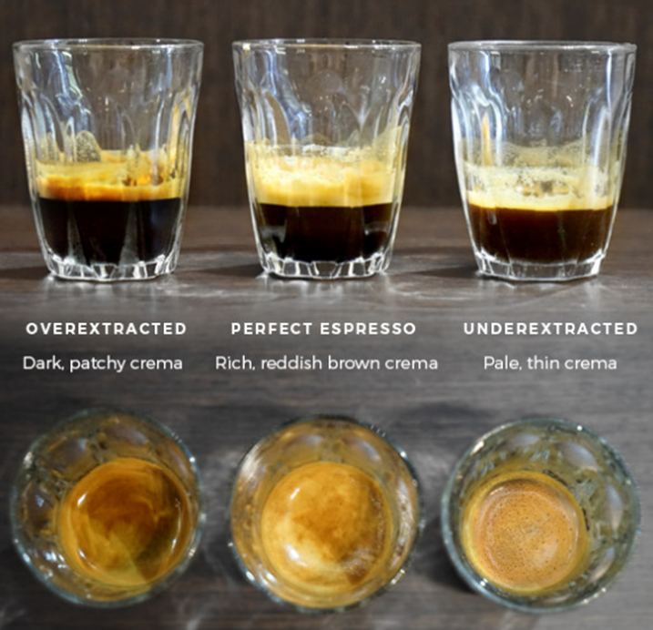 Coffee Shot – Getting Shot Consistency – Cirelli Coffee – Best Roasted ...